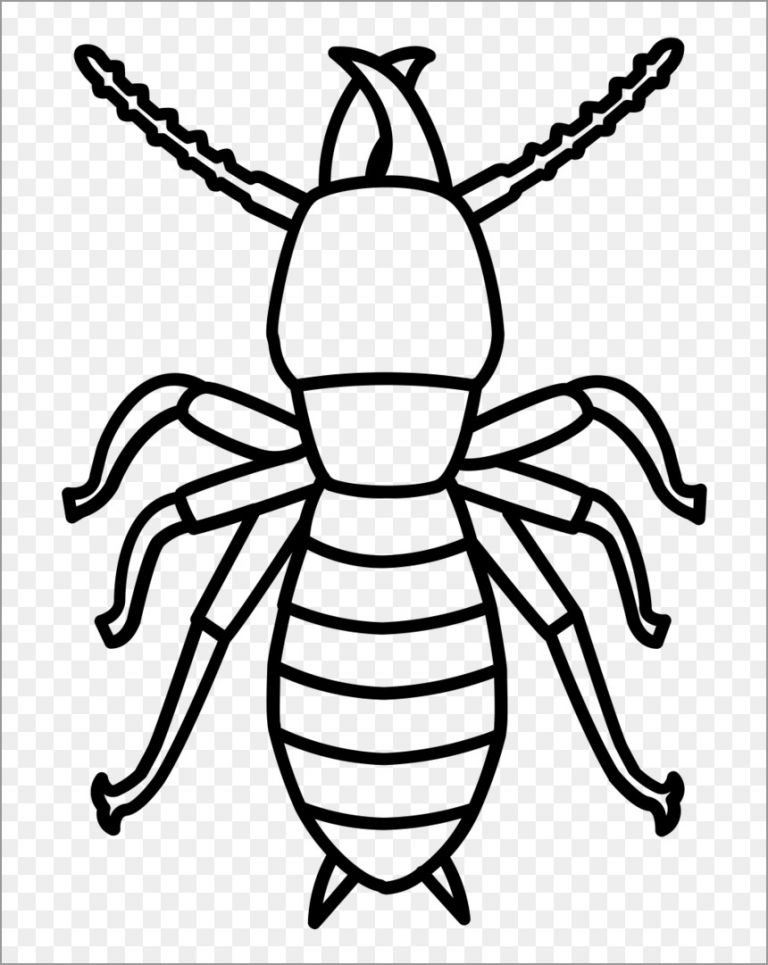 Coloring Page Of Termites - ColoringBay