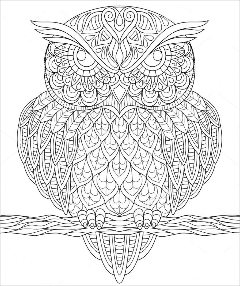 Mandala Zentangle Owl Coloring Pages - ColoringBay