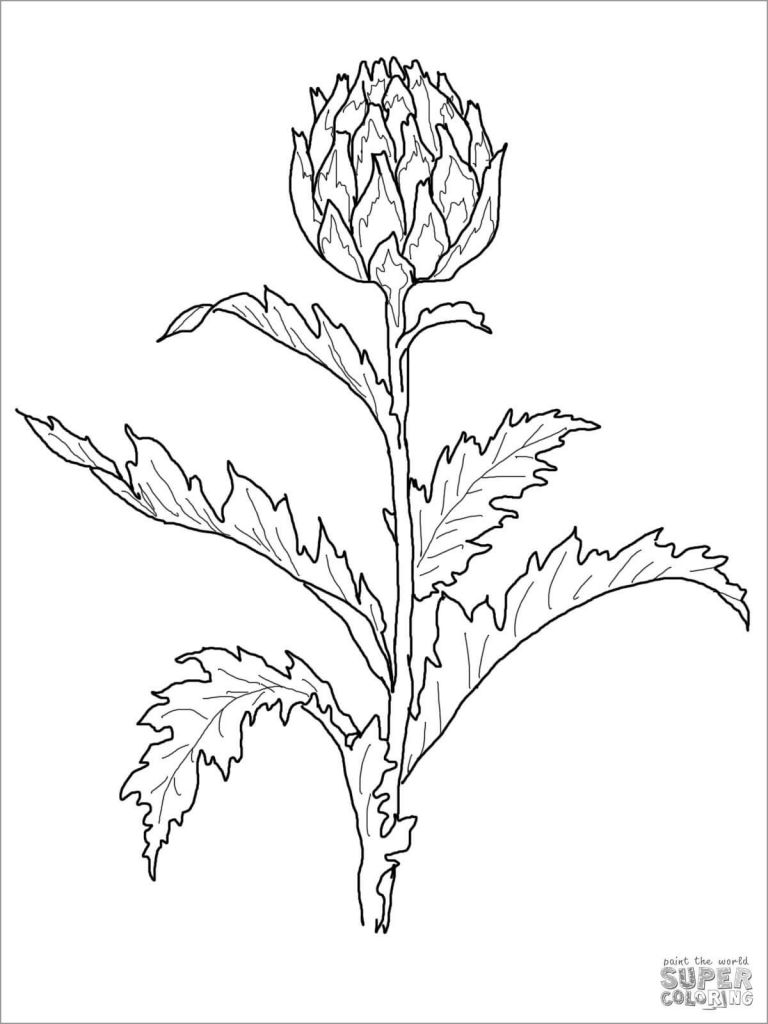 Artichoke Coloring Pages - ColoringBay