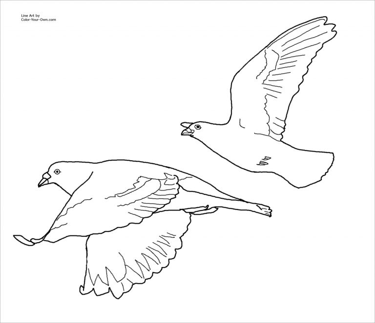 Seagulls Coloring Pages - ColoringBay